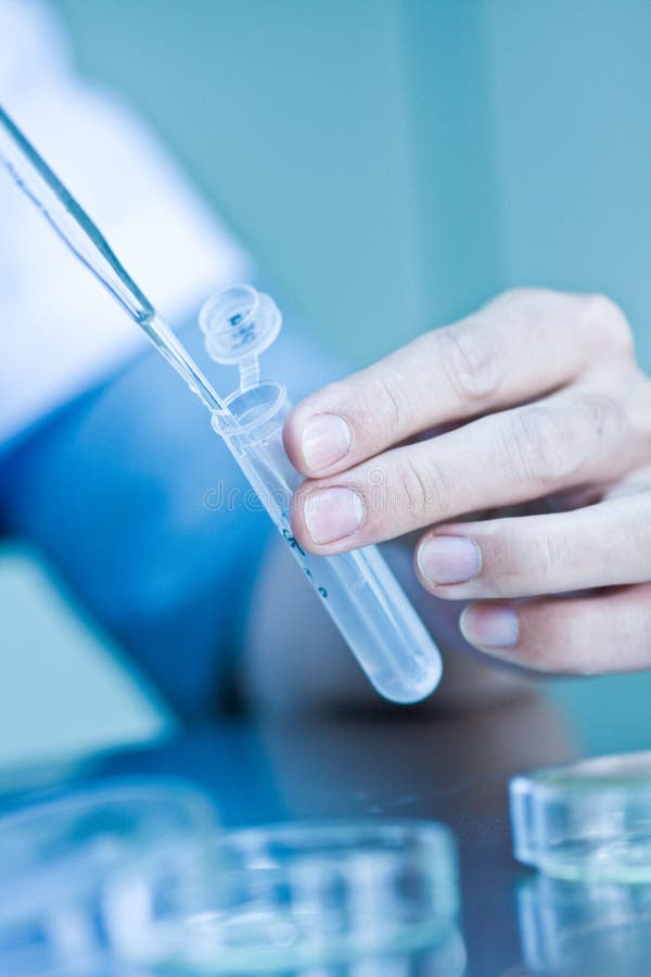 Experiment with a Test Tube in a Laboratory Stock Photo - Image of ...