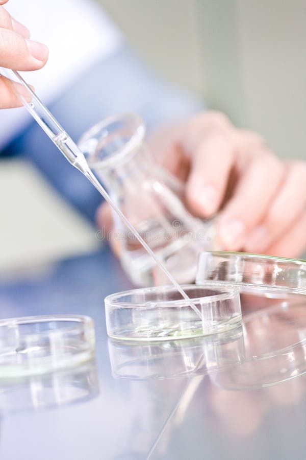 Experiment with a Test Tube in a Laboratory Stock Photo - Image of ...