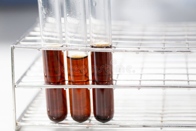 Experiment Of Waste Fermentation In Laboratories. Stock Image - Image ...