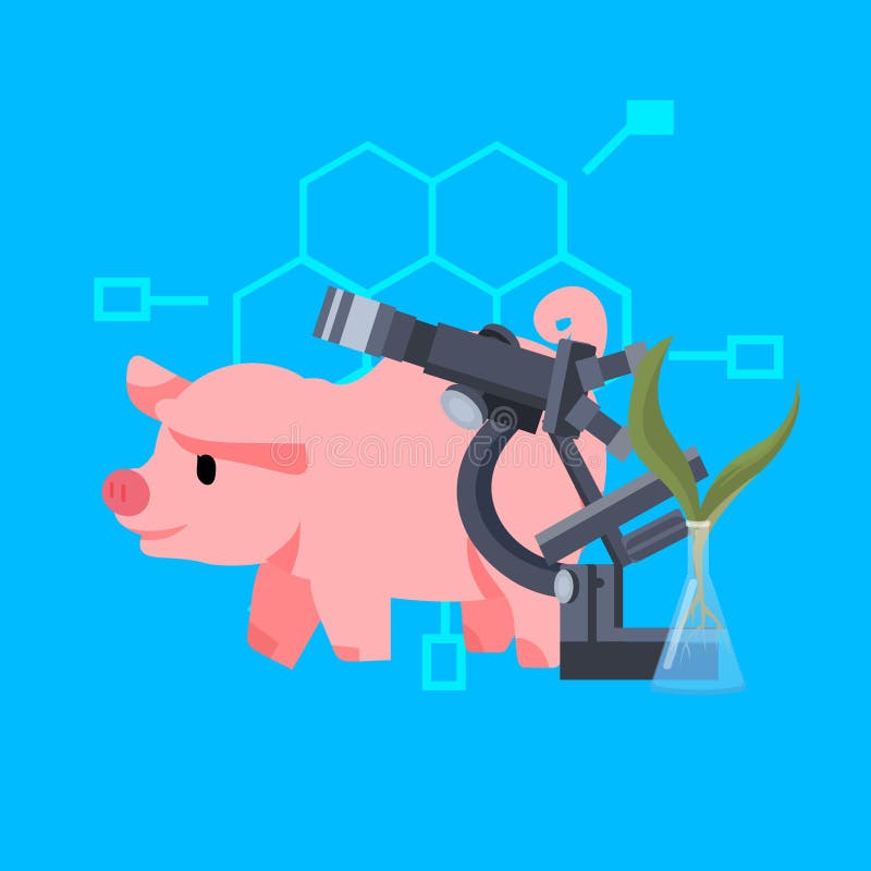 Experimental Pig Near Microscope Biological Genetic Engineering ...
