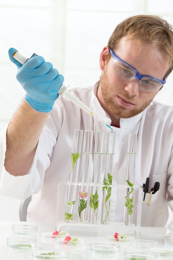 Experimental plant biology stock photo. Image of environment - 64629734