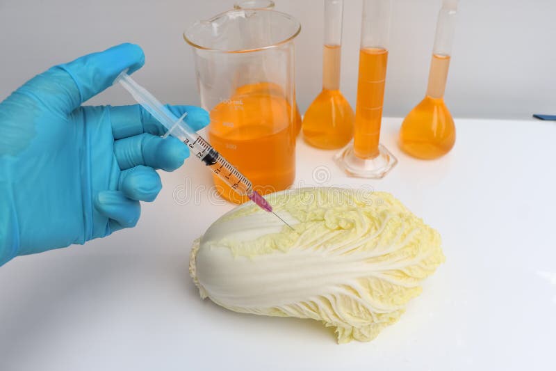 Experimenting with Vegetables in the Lab Using Chemical Stock Photo ...