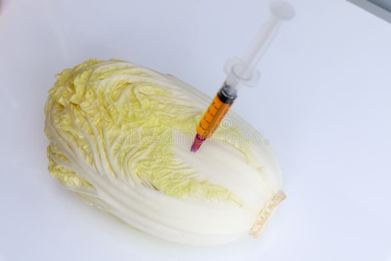 Experimenting with Vegetables in the Lab Using Chemical Stock Photo ...