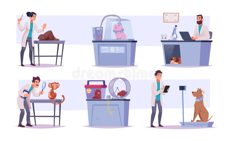 Experiments on Animals. Different Scientists Making Experiments in ...