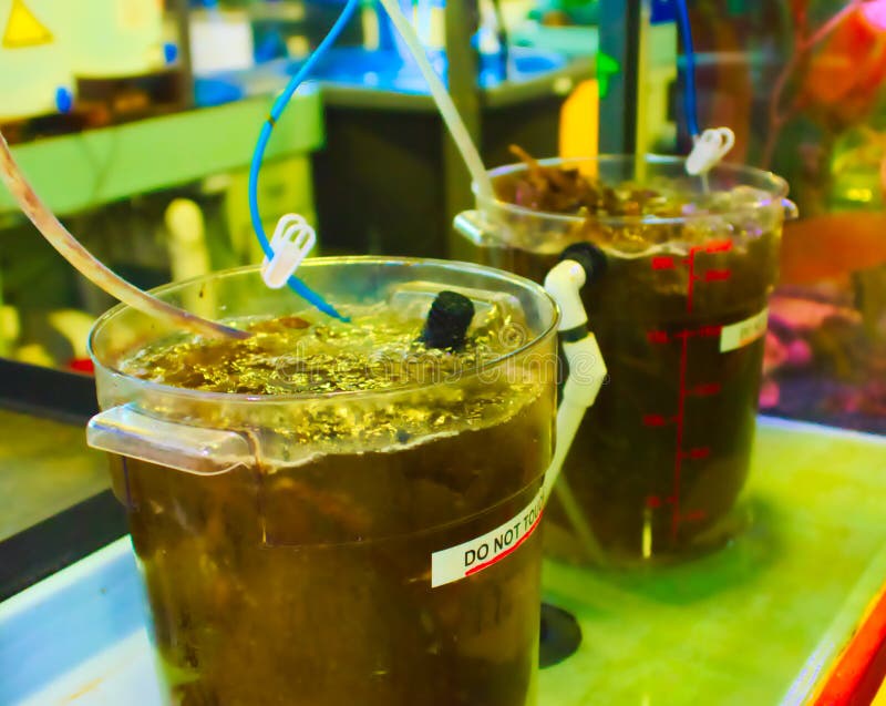 Experiments Being Conducted Using Exotic Laboratory Equipment Stock ...