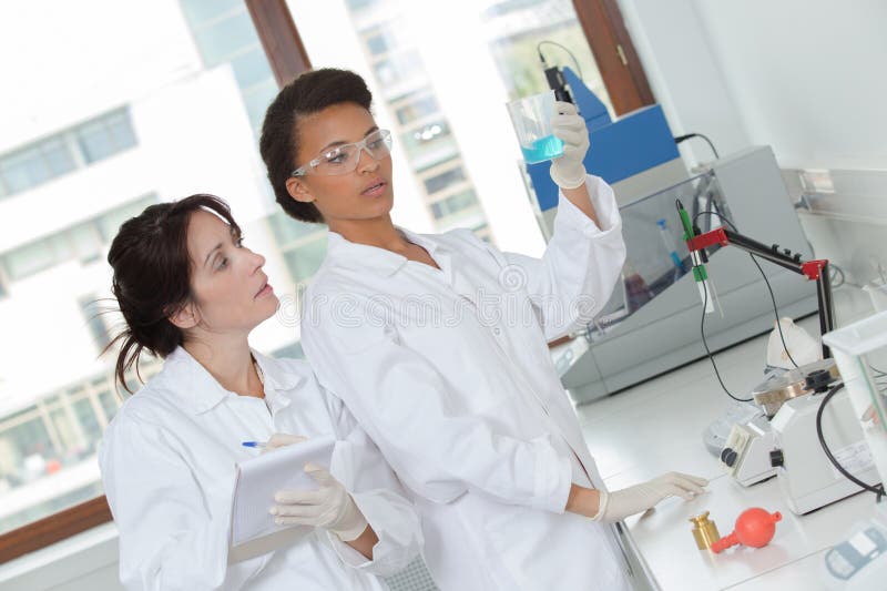 Man and Woman Chefs Cooking Food at Restaurants Kitchen Stock Photo ...