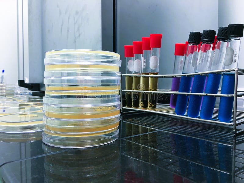 Laboratory Glassware Plate and Chemical Solution Background Image Stock ...