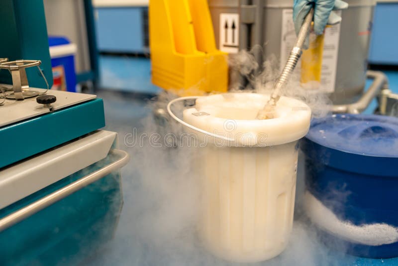Experiments in a Laboratory with Liquid Nitrogen Stock Photo - Image of ...