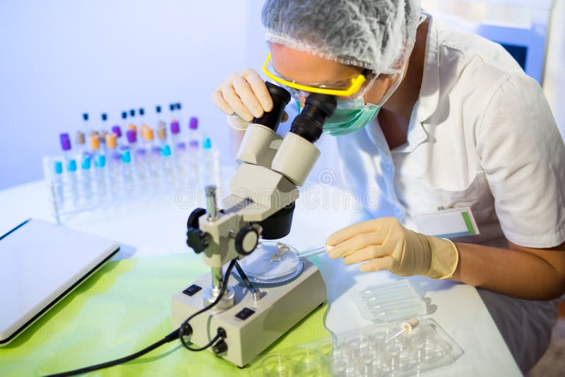 Experiments in the Laboratory Stock Image - Image of medical, care ...