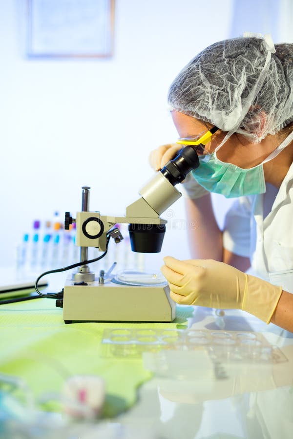 Observation of the Sample on the Microscope in a Lab Stock Photo ...