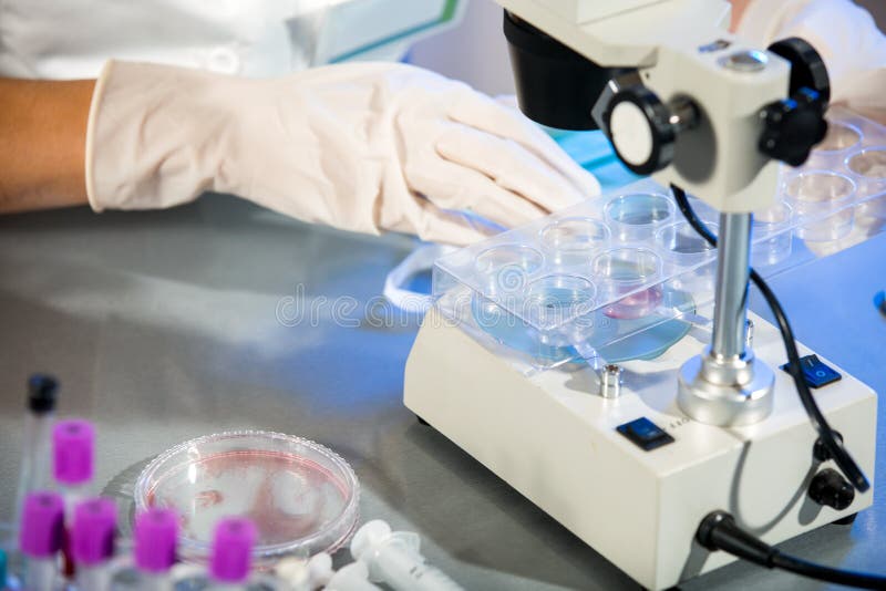 Experiments in the Laboratory Stock Photo - Image of hand, colony: 65630128