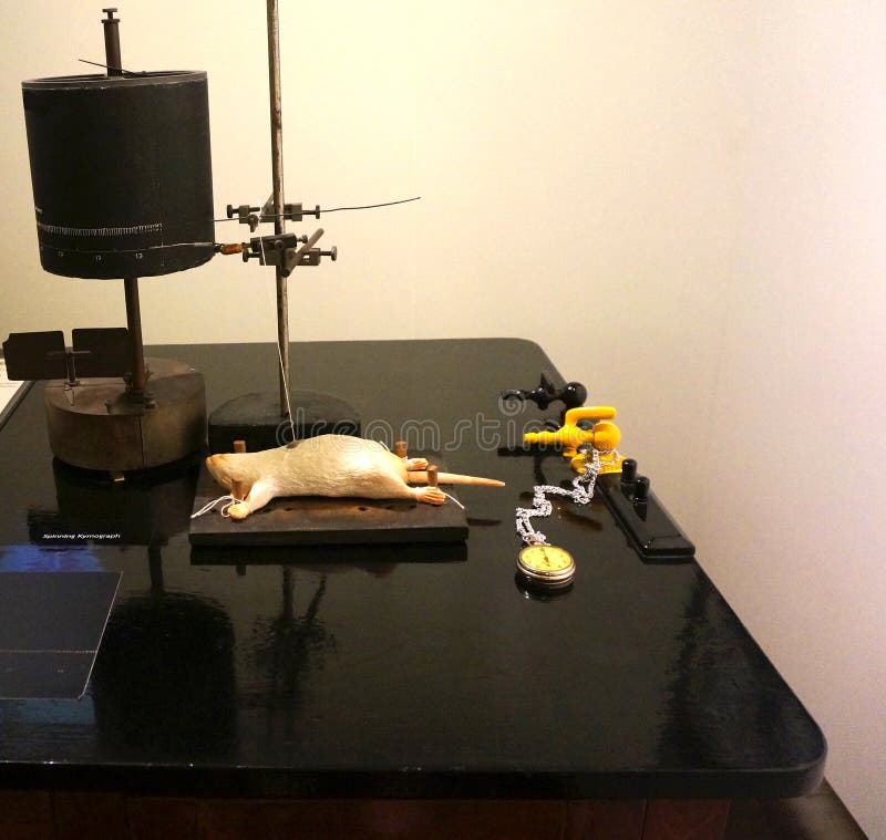 Experiments Using Mice in Ancient Stock Image - Image of examine ...