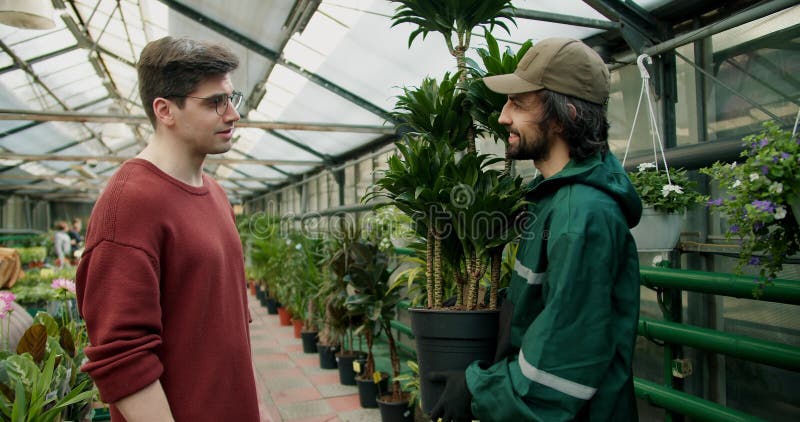 Expert Advice for Young Gardener: Selecting and Caring for the Perfect ...