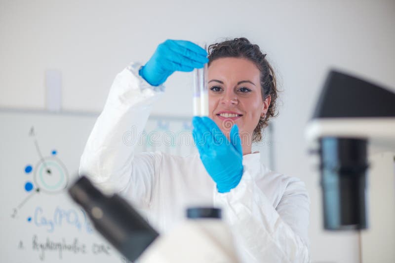 An Expert Assesses Milk Quality in a Laboratory, Using Test Tubes for ...