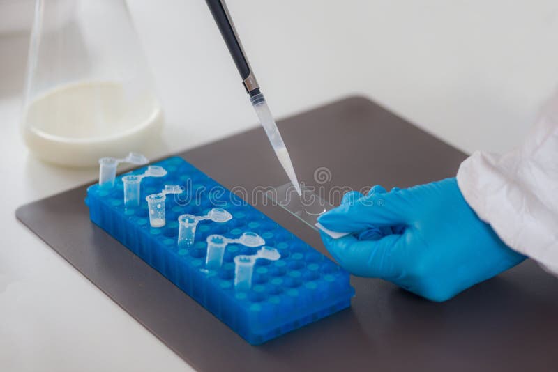 An Expert Assesses Milk Quality in a Laboratory, Using Test Tubes for ...