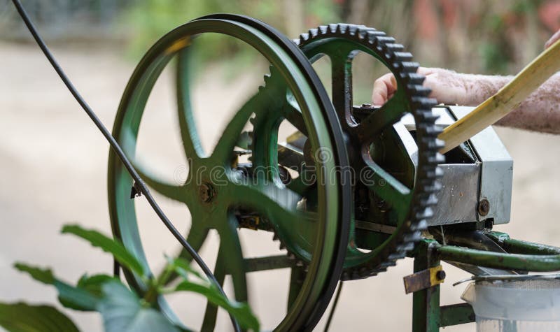 Expert Hands Using Antique Machine To Extract Juice from Sugarcane ...