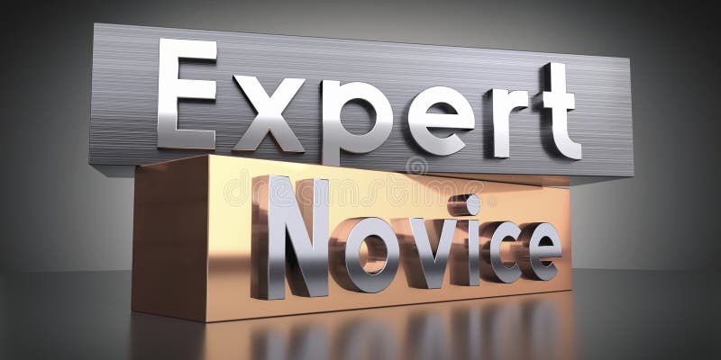 Expert, Novice - Words on Metal Blocks Stock Illustration ...