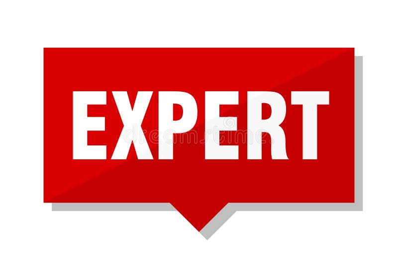 Expert price tag stock vector. Illustration of design - 118866984