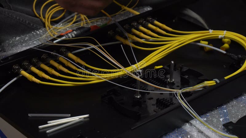 Expert Technicians are Connecting Fiber Optic Cables Stock Footage ...