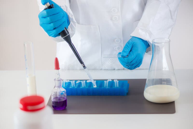 An Expert Assesses Milk Quality in a Laboratory, Using Test Tubes for ...