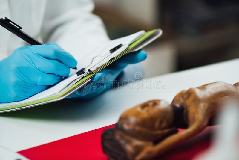 Expert Wooden Art Appraisal Stock Photo - Image of estimating ...