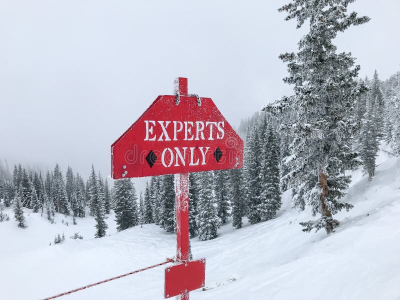 Experts only Sign stock photo. Image of sign, piste, california - 70789048