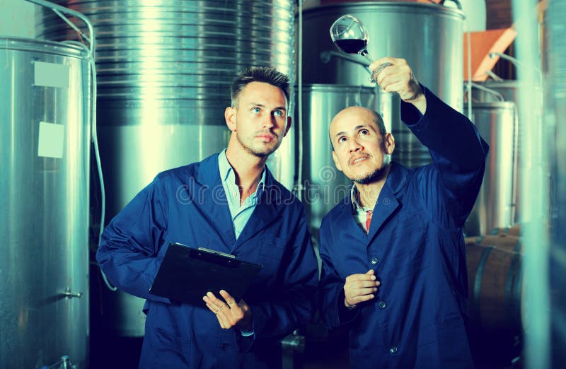 Experts men examining wine stock image. Image of communicating - 79192159