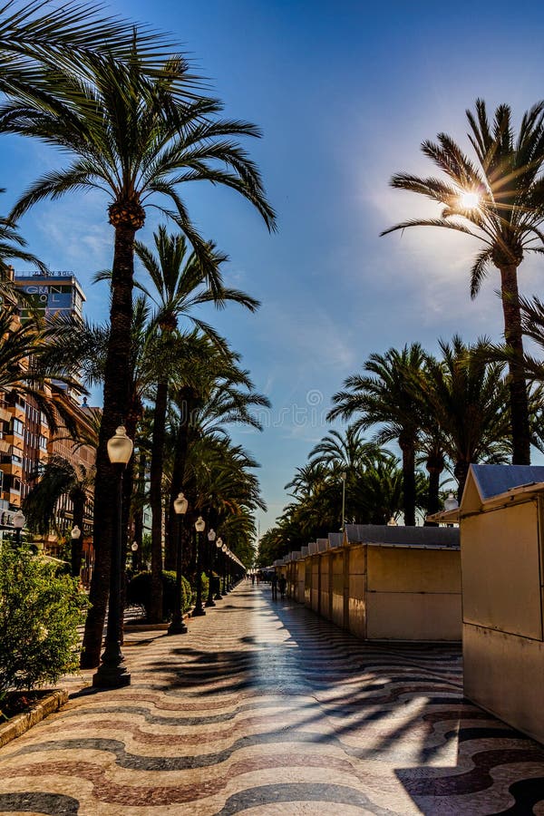 Explanada Promenade in Alicante Spain Editorial Image - Image of palms ...