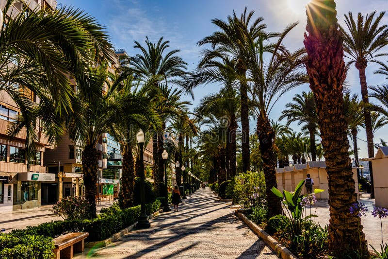 Explanada Promenade in Alicante Spain Editorial Image - Image of ...