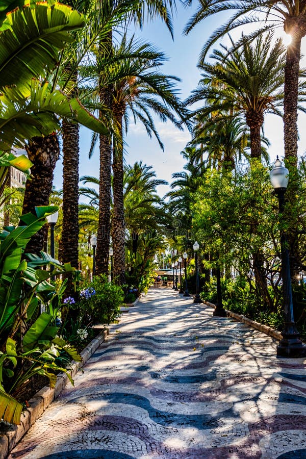 Explanada Promenade in Alicante Spain Stock Photo - Image of explanada ...