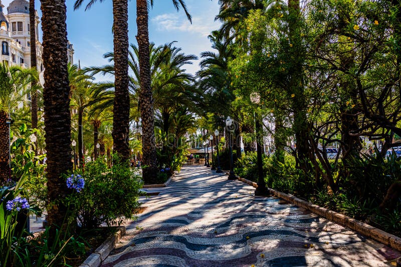 Explanada Promenade in Alicante Spain Stock Photo - Image of resort ...