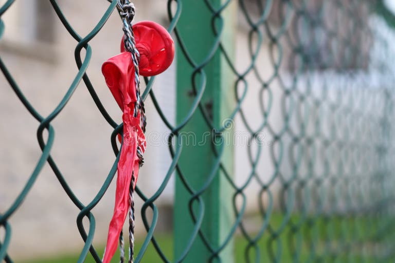 Exploded Balloon Hanging on Green Wire Mesh Stock Image - Image of ...