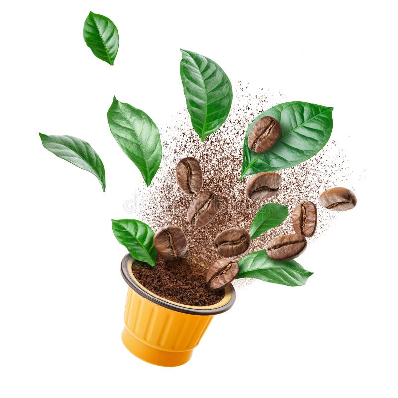 Exploded View of Coffee Grinder with Roasted Beans and Leaves Stock ...