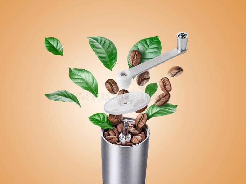 Exploded View of Coffee Grinder with Roasted Beans and Leaves Stock ...