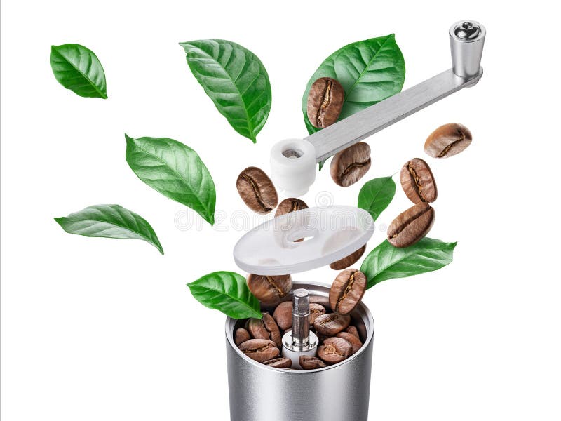 Exploded View of Coffee Grinder with Roasted Beans and Leaves Stock ...