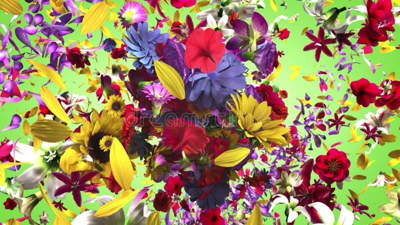 Colorful Flowers Border Green Screen Motion Graphics Stock Footage ...