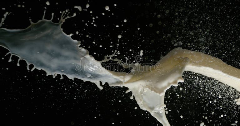 Exploding Milk Against Black Background Stock Image - Image of people ...