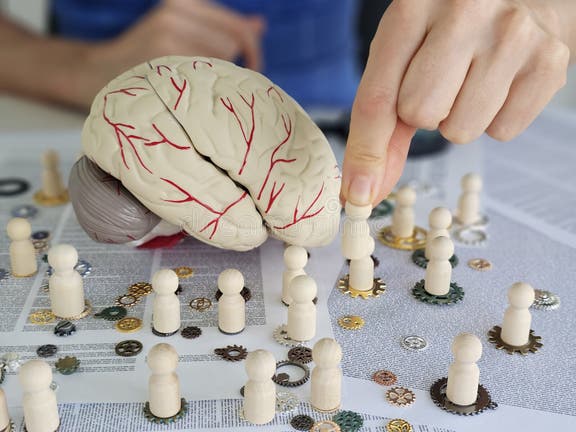 Exploration of Cognitive Functions Using a Brain Model and Wooden ...
