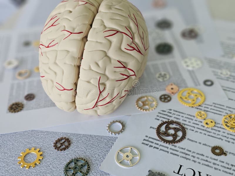 Exploration of Creativity and Mechanics with a Brain Model and Gears on ...