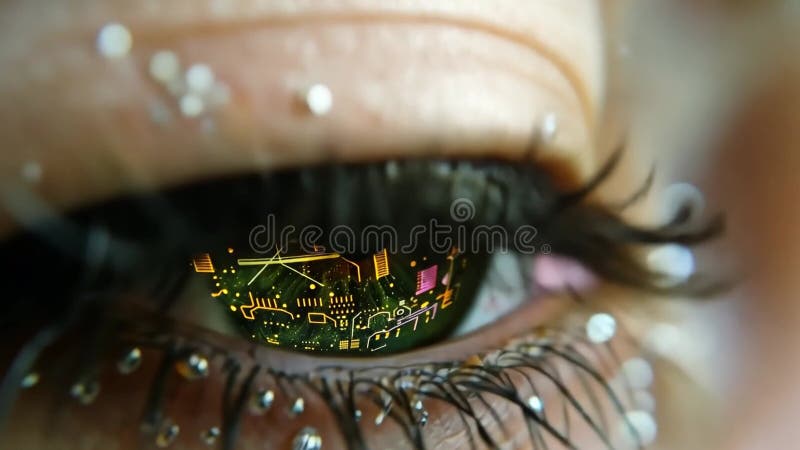 Exploration of the Fusion between Technology and Human Vision with ...