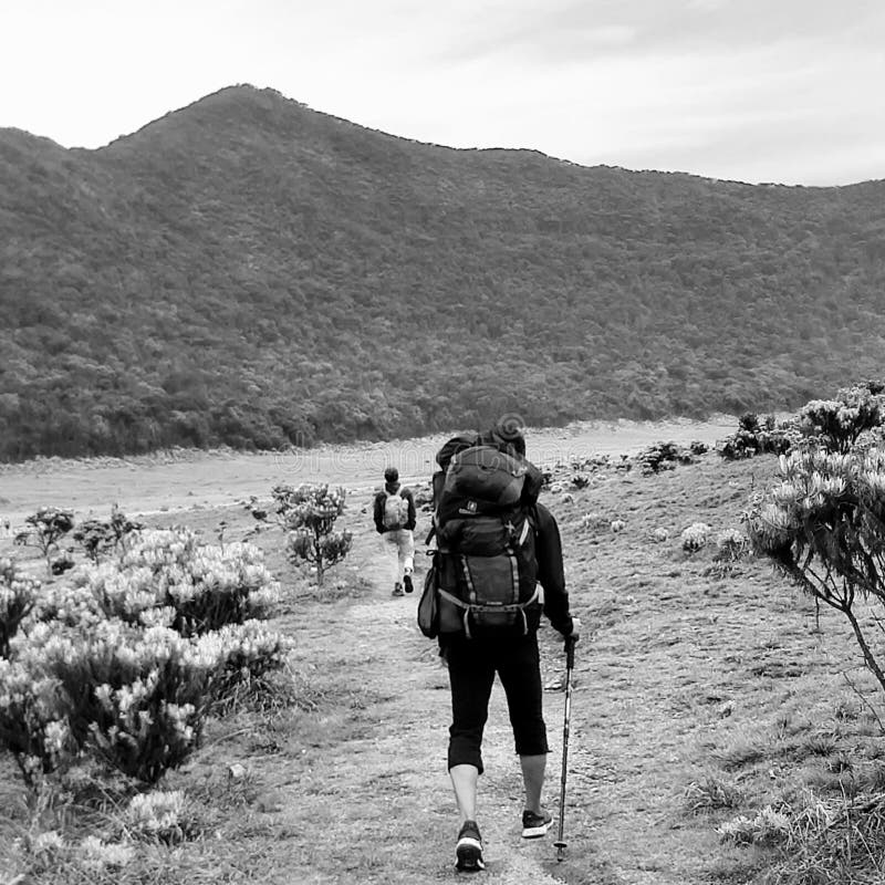 Exploration in mountaint stock image. Image of mount - 264887895