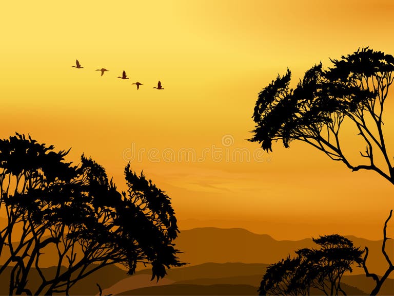 Explore Leaves Stock Illustrations – 17,485 Explore Leaves Stock ...