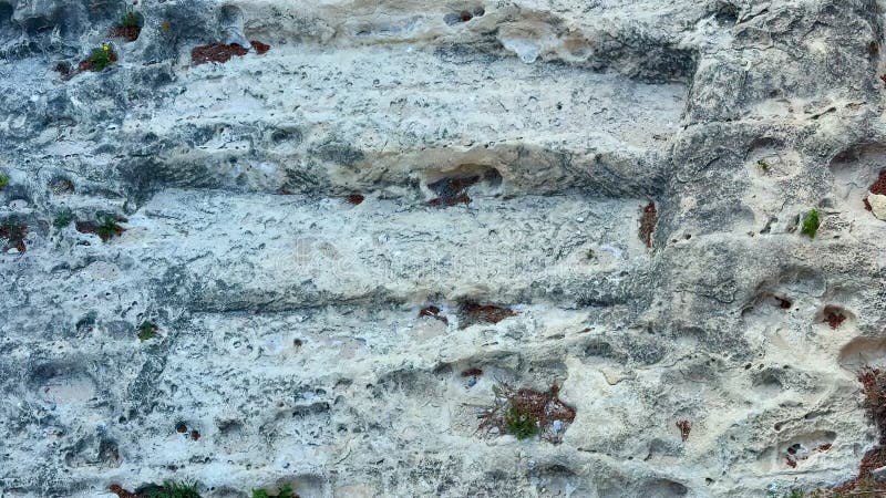 Explore the Ancient Stone Steps that are Surrounded by Beautiful Nature ...