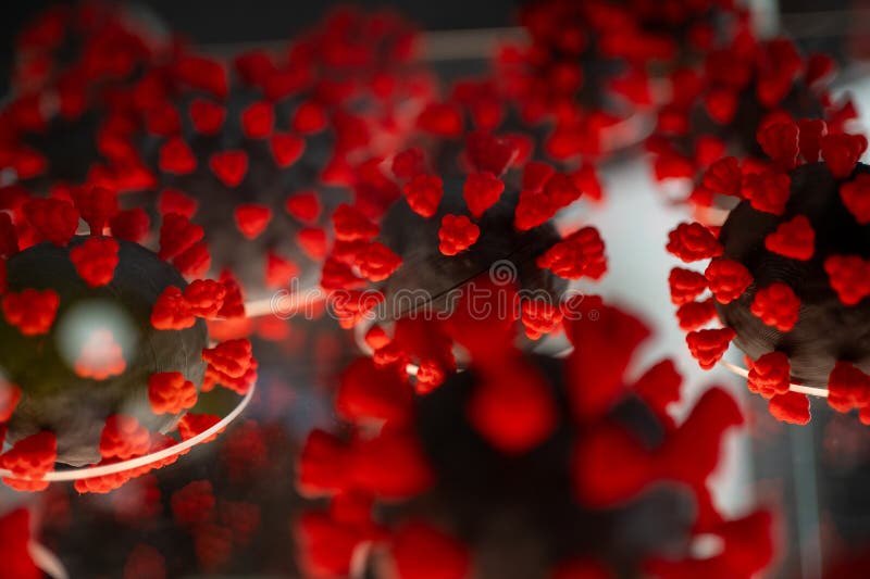 Explore a COVID-19 Bacteria Plastic Model Stock Photo - Image of ...