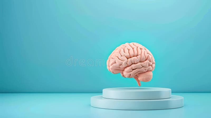 Explore a Detailed and Medically Accurate View of the Human Brain ...