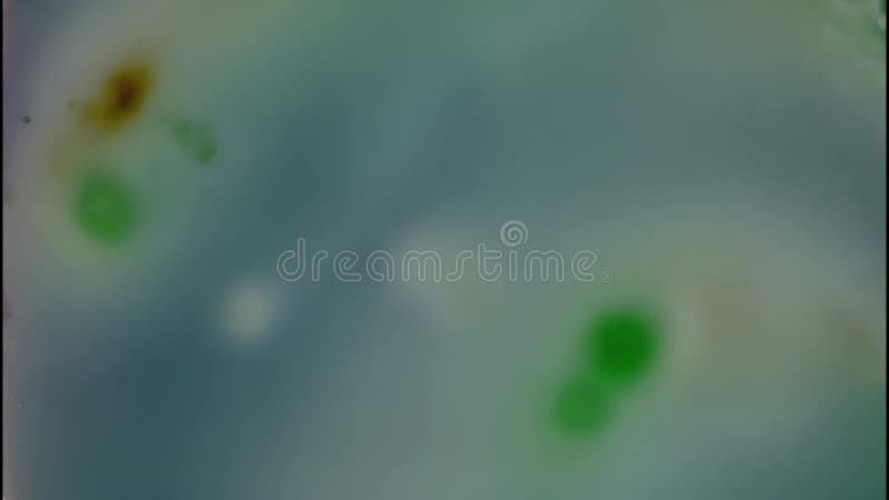 Discovering Hidden Worlds of Microscopic Life in Gentle, Flowing Motion ...