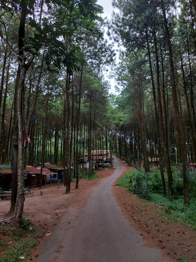 Explore Indonesia& X27;s Nature Stock Image - Image of indonesia, west ...