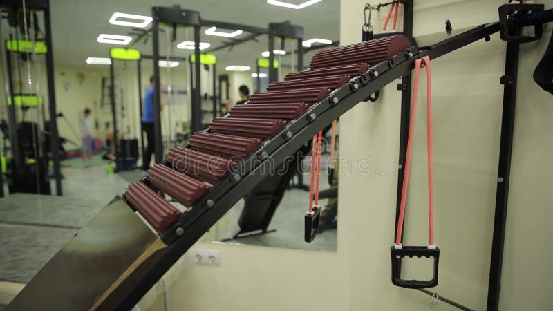 Explore Innovative Gym Equipment for Functional Training and ...