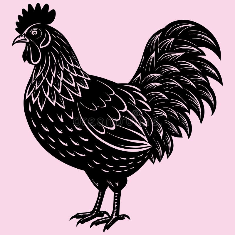 Chicken Vector Art: Detailed Illustration Stock Vector - Illustration ...