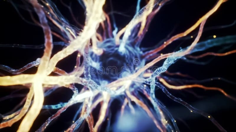 Explore the Intricate Details of Neural Pathways in a Captivating ...